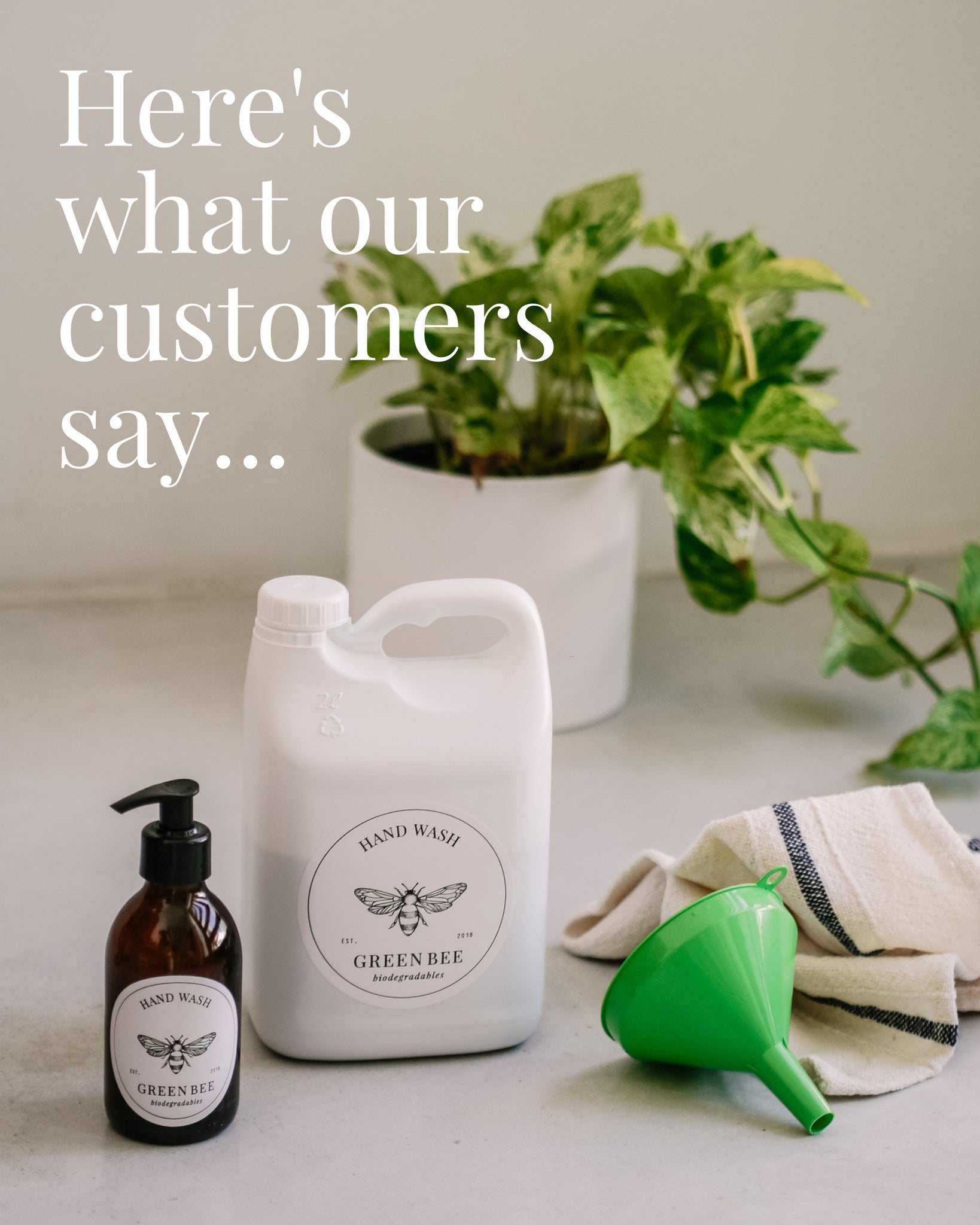 Green Bee – Green Bee Biodegradables